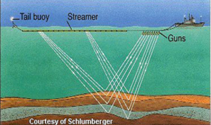 Seismic Surveys – Oceans Not Oil